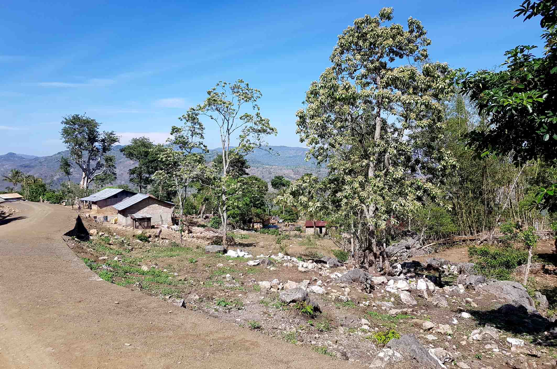 COVID-19 update: Timor Leste Mission, 29 March 2020 – Mission for the ...